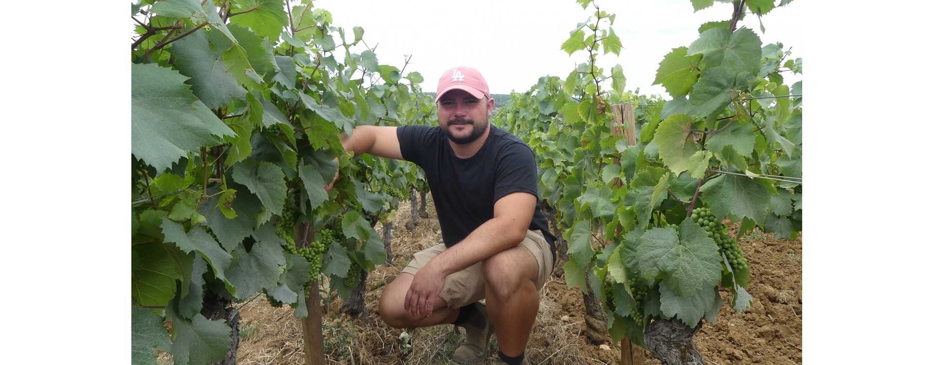 Presentation of the Domain Simon Colin