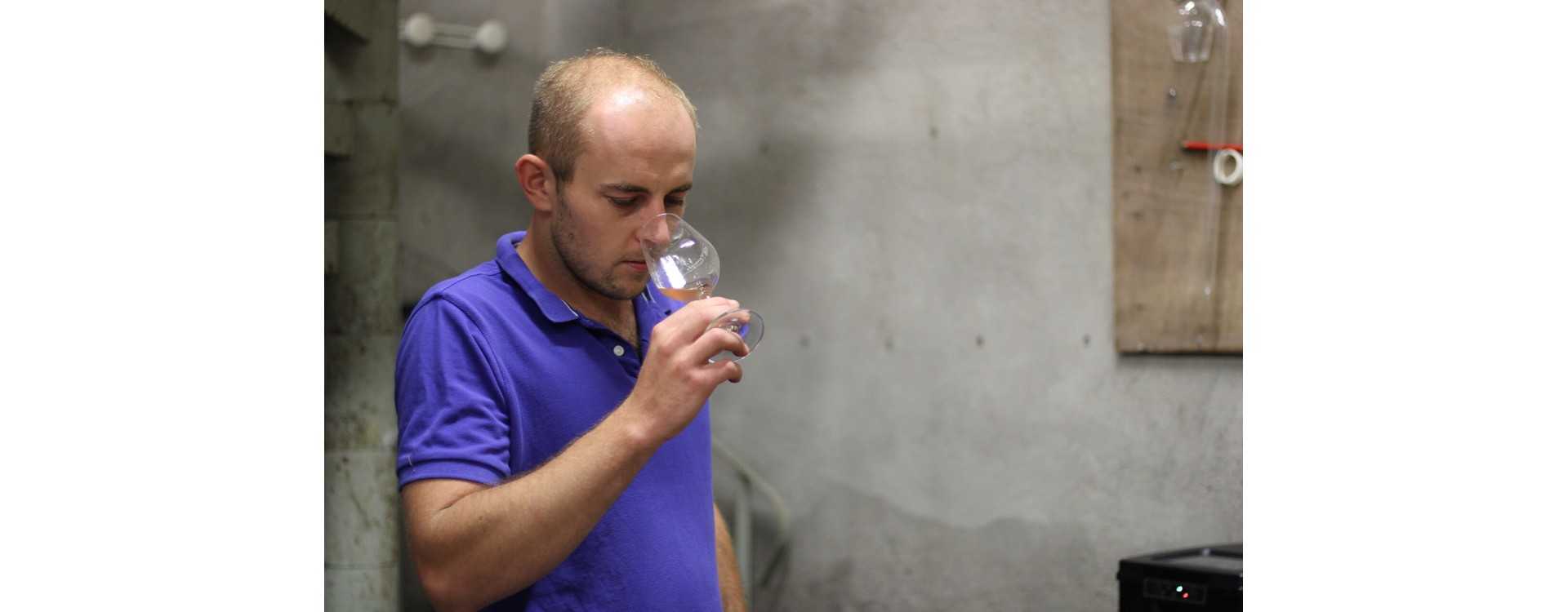 Présentation des vins de Maxime Crotet